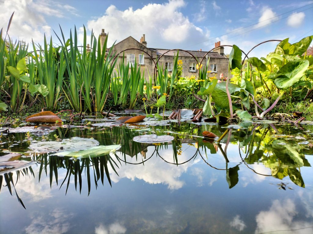 Welcome to St. Stephen's Millennium Green - St. Stephen's Millennium Green